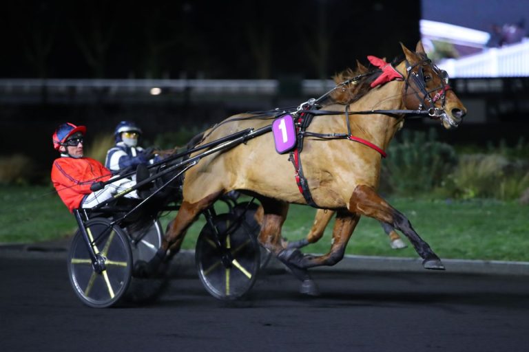 Happy du Bois {5}, Haute Cete de Nuit {7}, Instant d’Haufor {8} trióból ...